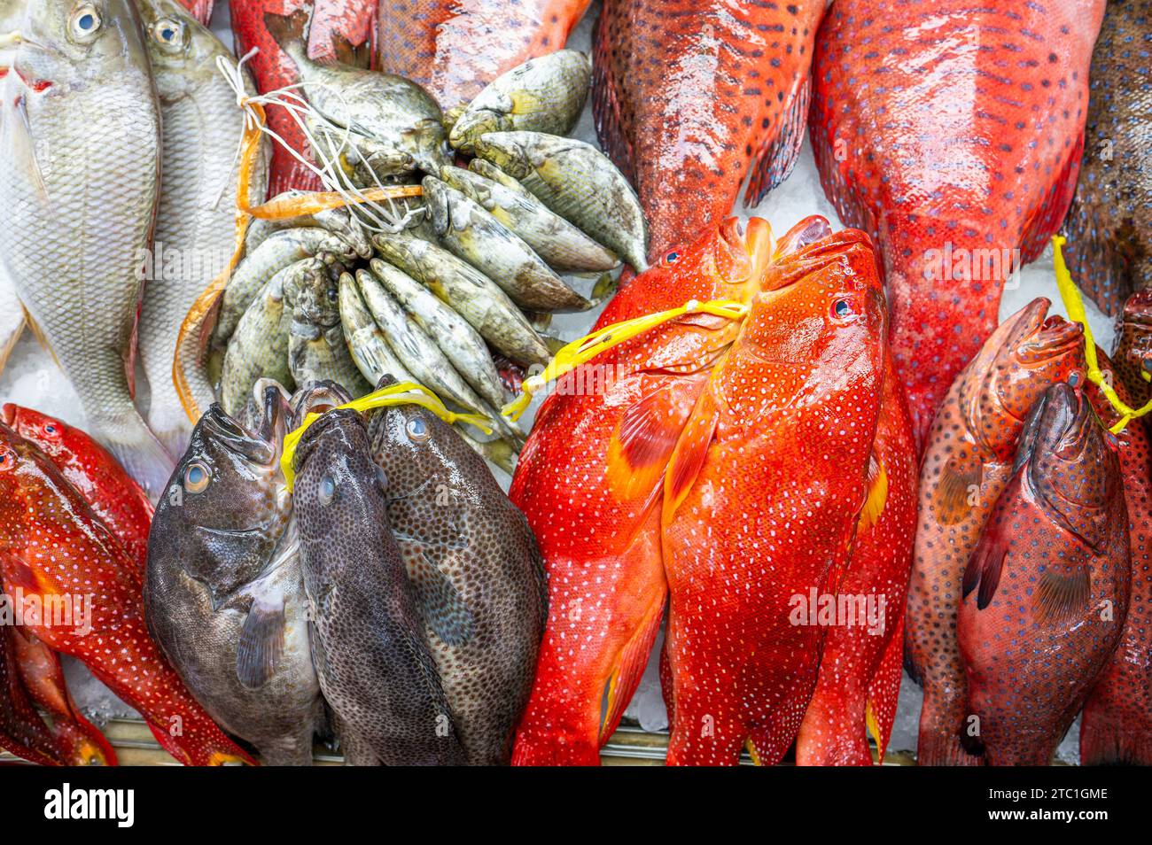 Colorful fish at a stand at a seafood market in Jeddah, Saudi Arabia ...