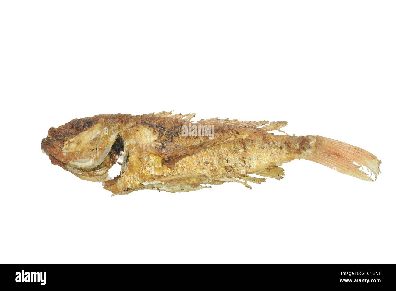 crispy fried fresh red snapper fish arranging on white background Stock ...