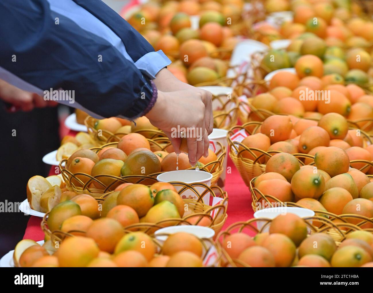 Rong'an, China's Guangxi Zhuang Autonomous Region. 10th Dec, 2023 ...