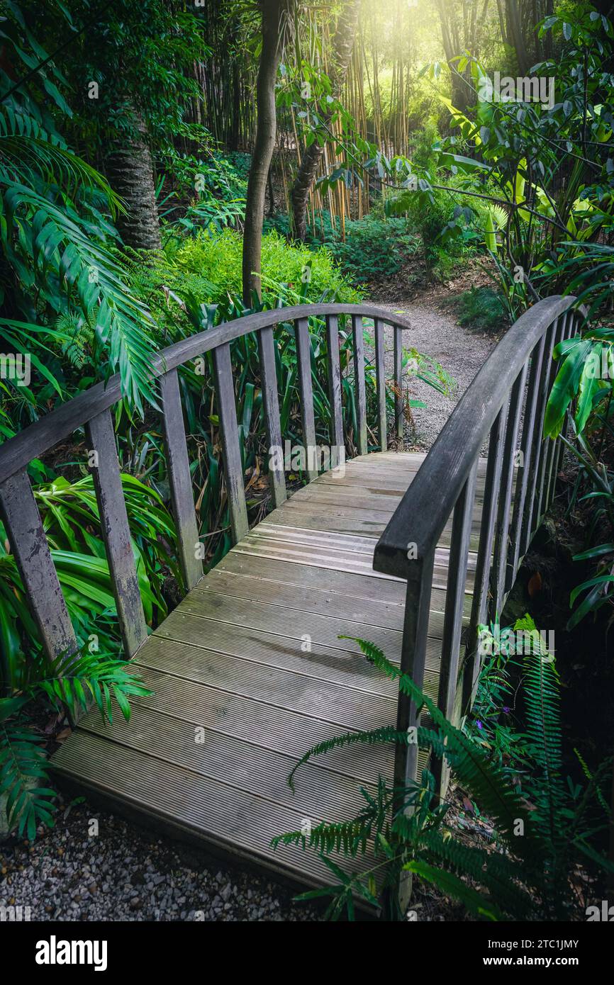 Small bridge in garden hi-res stock photography and images - Alamy