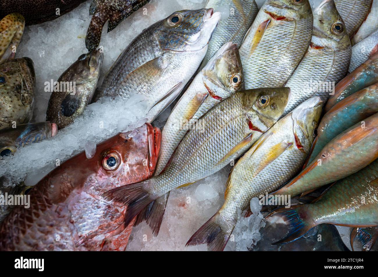 Colorful fish at a stand at a seafood market in Jeddah, Saudi Arabia ...