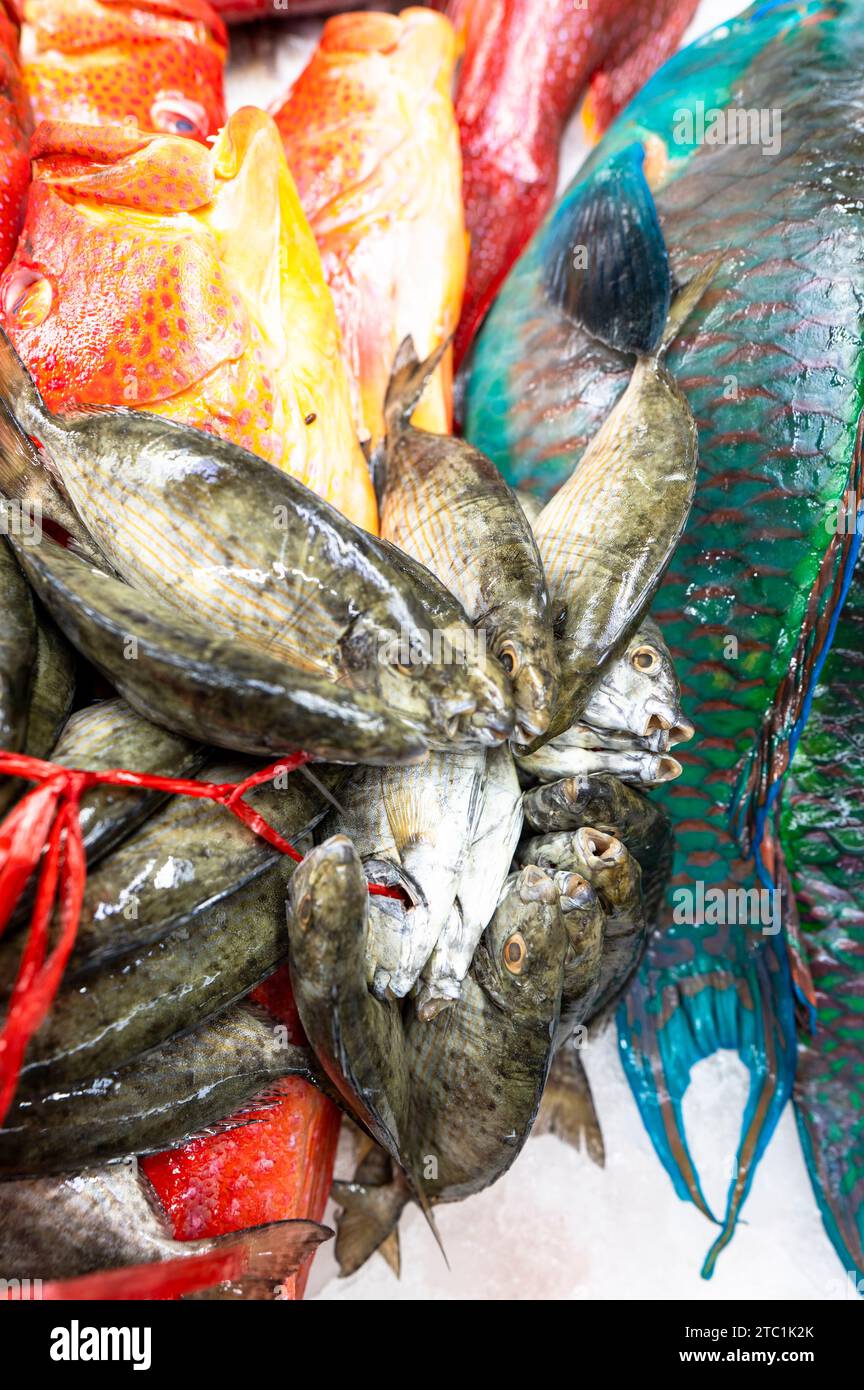 Colorful fish at a stand at a seafood market in Jeddah, Saudi Arabia ...