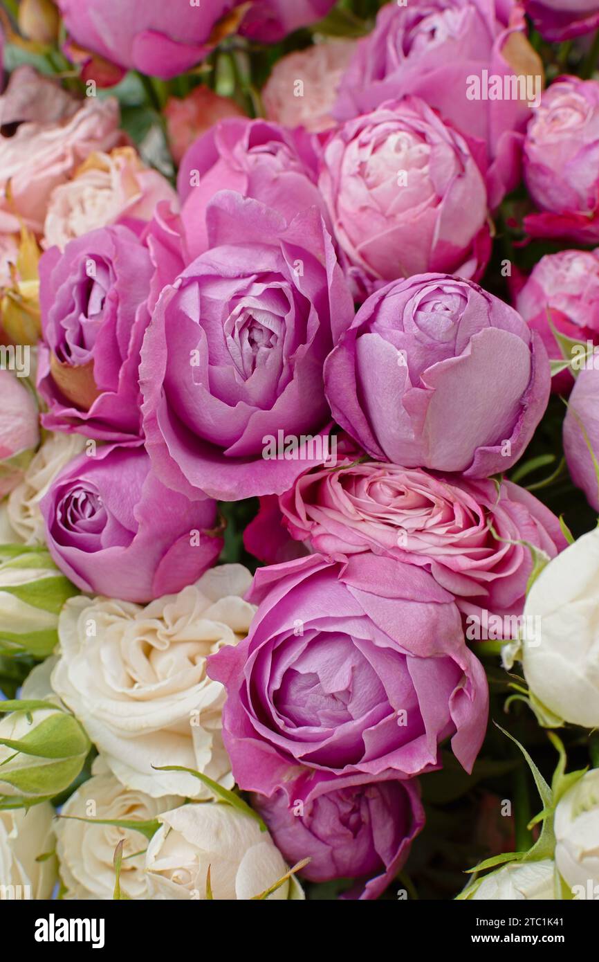 Appreciation bouquet hi-res stock photography and images - Alamy