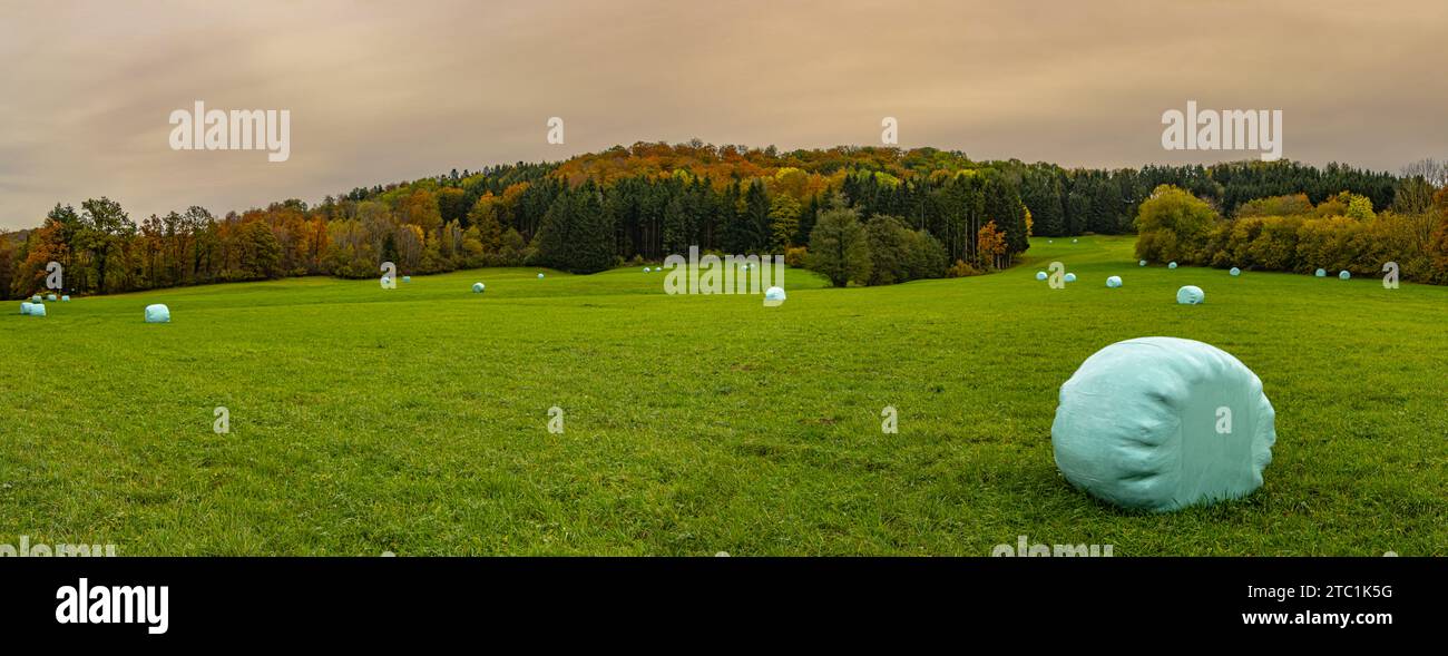 Panorama green field haystacks rolls hi-res stock photography and ...