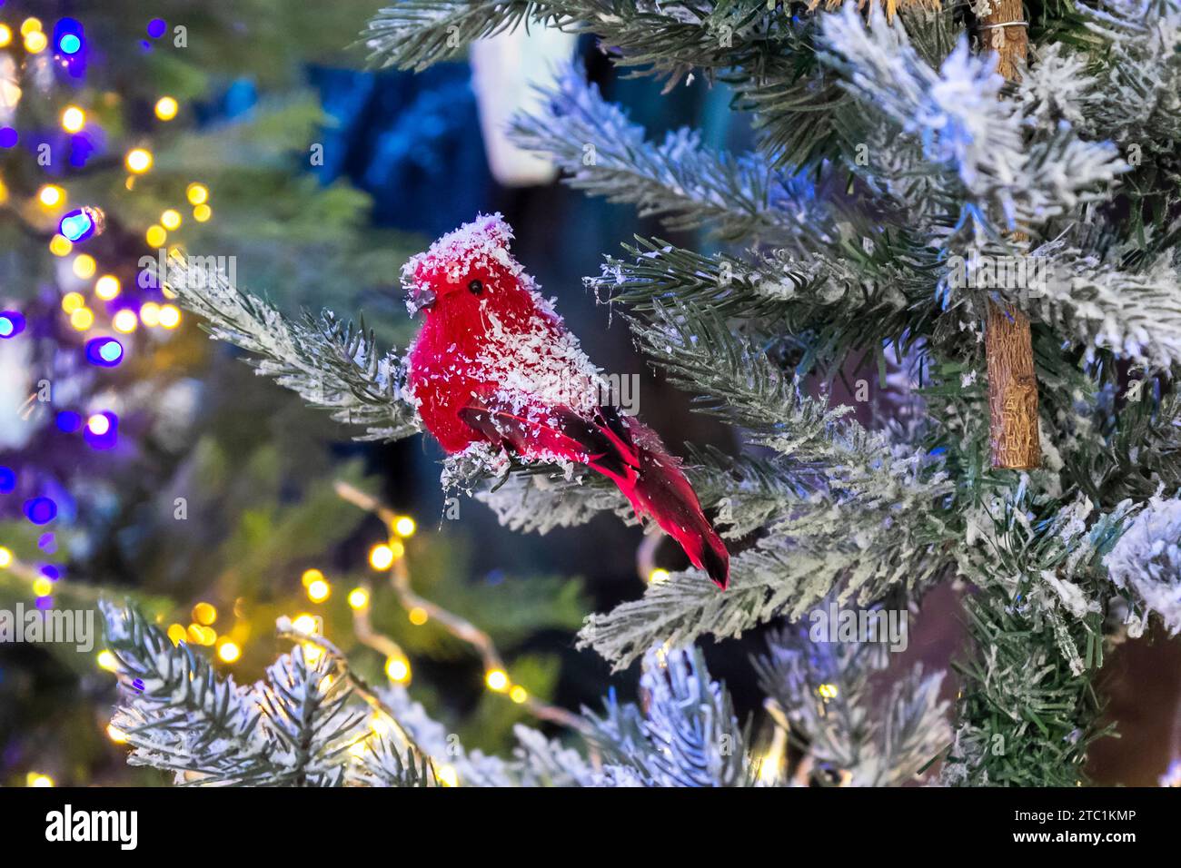 New Year's red bird on the Christmas tree. New Year and Christmas ...
