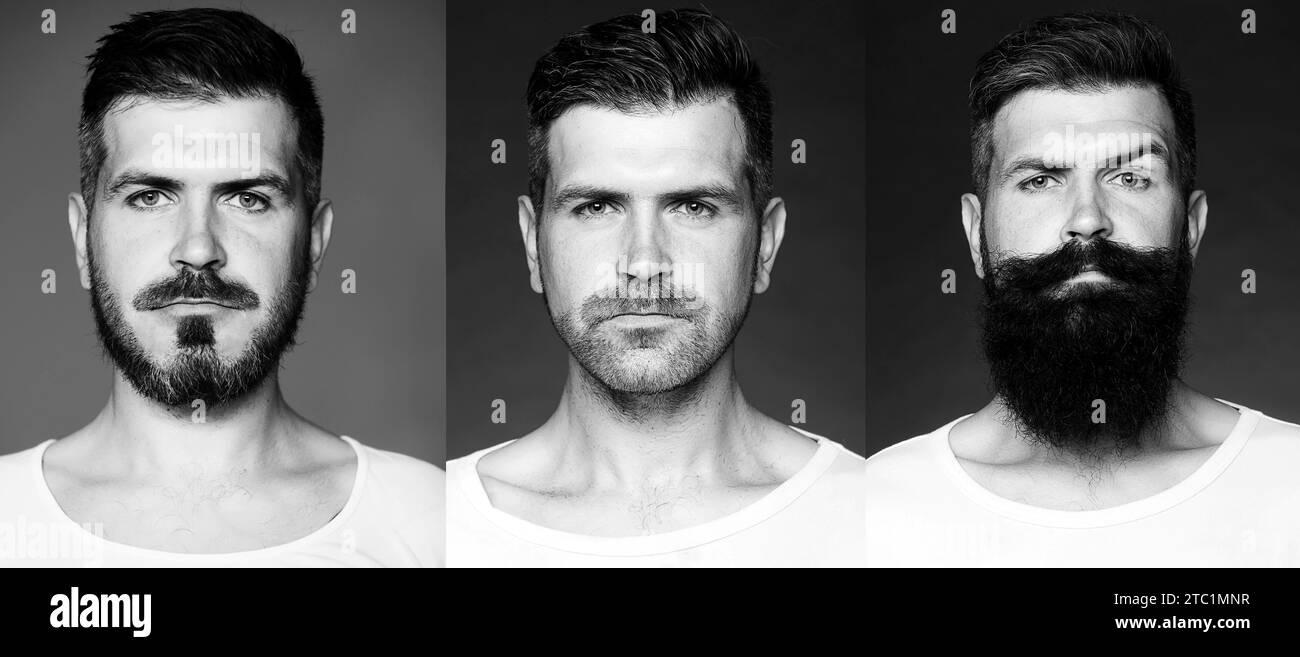 Bearded man or hipster set. Long beard. Hair style hair stylist. Barber ...