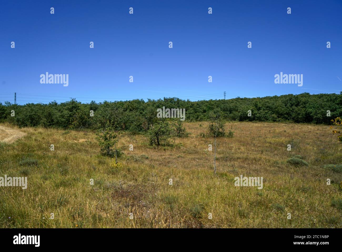 Dry landscape in Spain with large pastures for cattle and agriculture ...