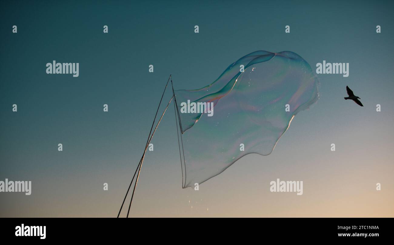 Huge bubbles. Blowing big soap bubbles in the air. Freedom, summer concepts. Bubble making with ...