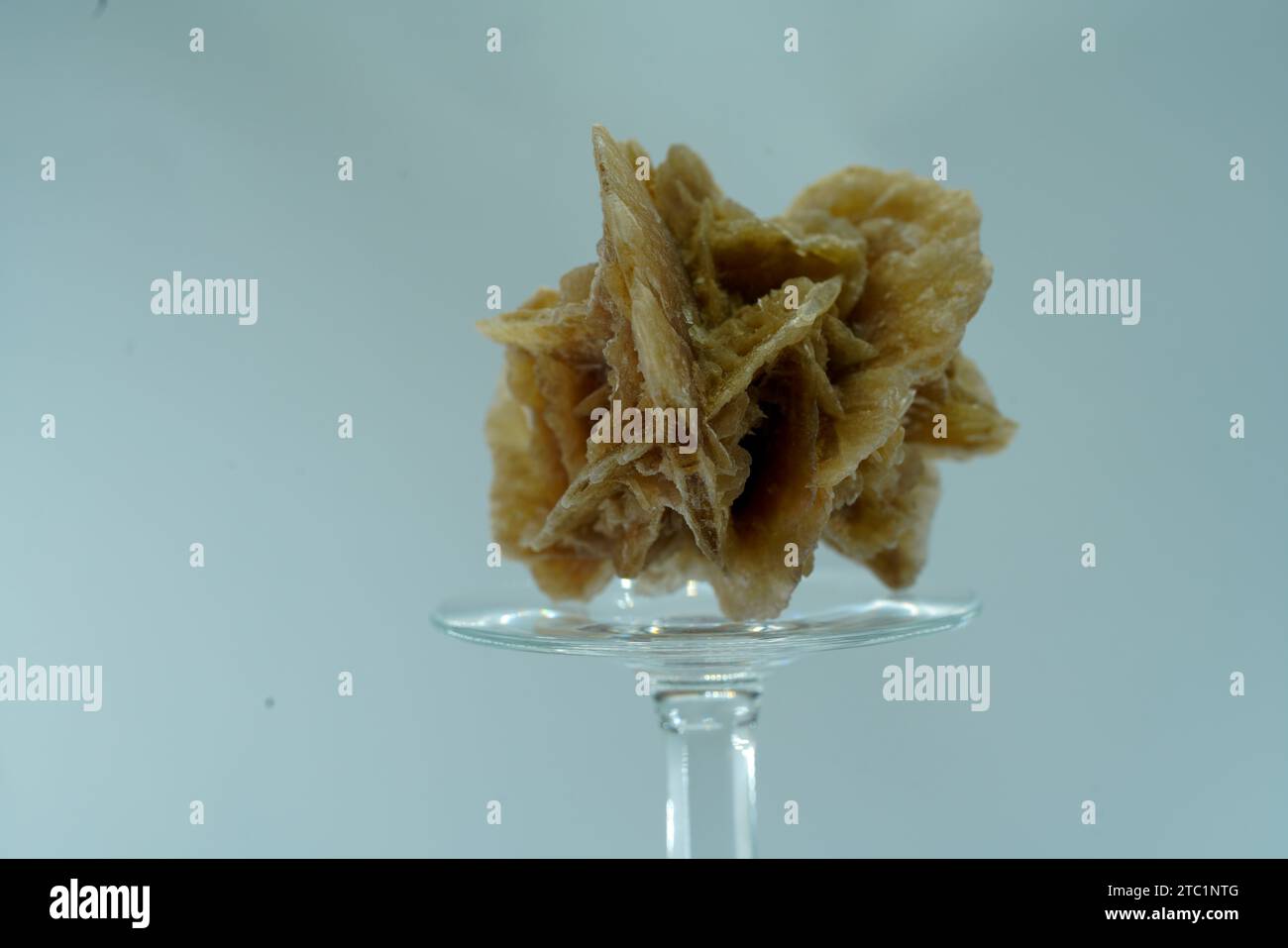 Gypsum rose with a crystal on a cut out background, Crystals resembling ...