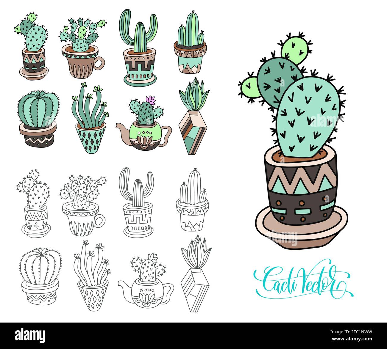 doodle sketch drawing flat style of house plants - flowerpots with ...