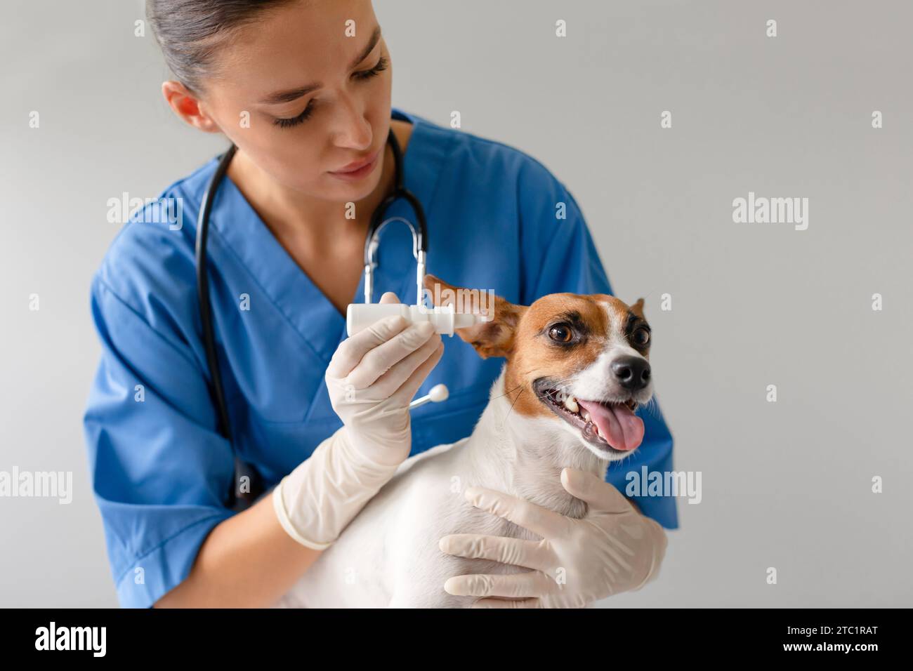 Veterinarian administering medicine dog hi-res stock photography and ...