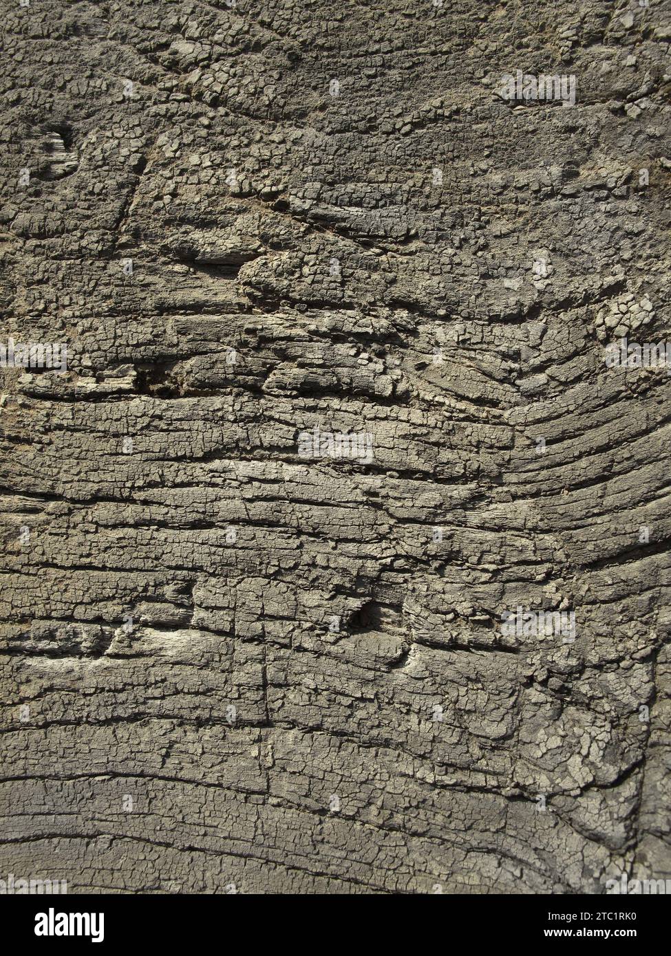 Texture of very old weathered wood Stock Photo - Alamy