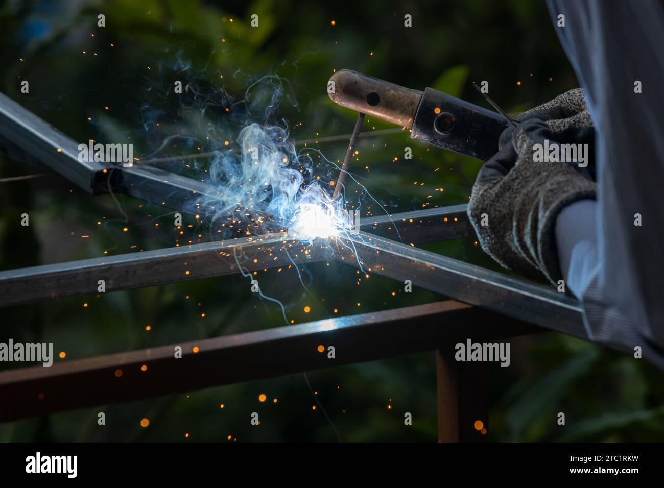 Smaw hi-res stock photography and images - Alamy