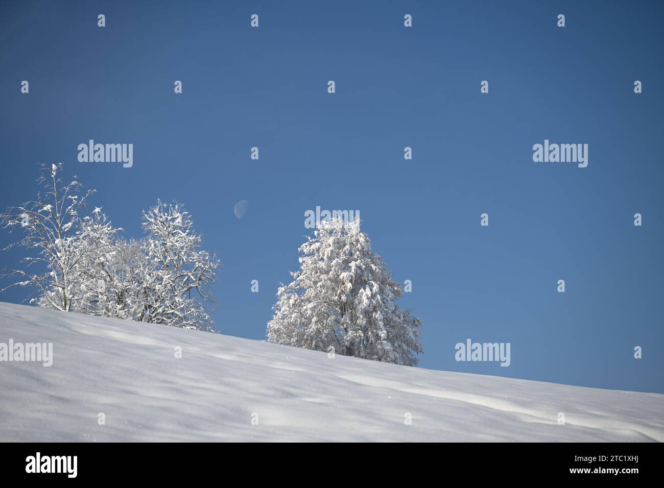 This stock photo depicts a stunning winter landscape, featuring a ...