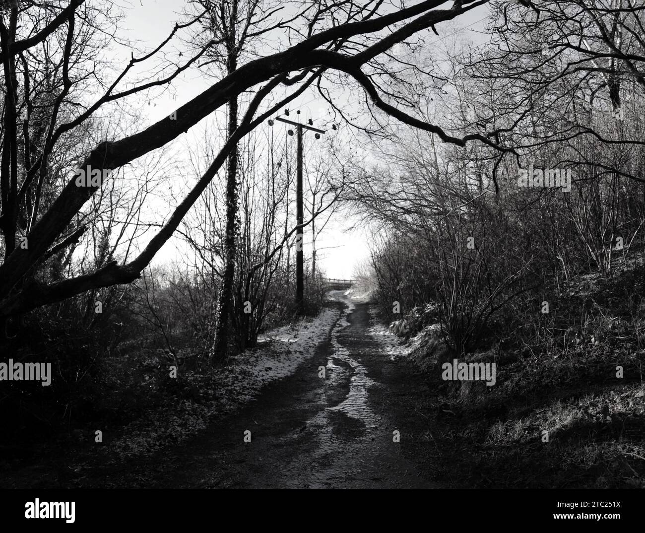 communication, an old telegraph pole stands central in this image 21st ...