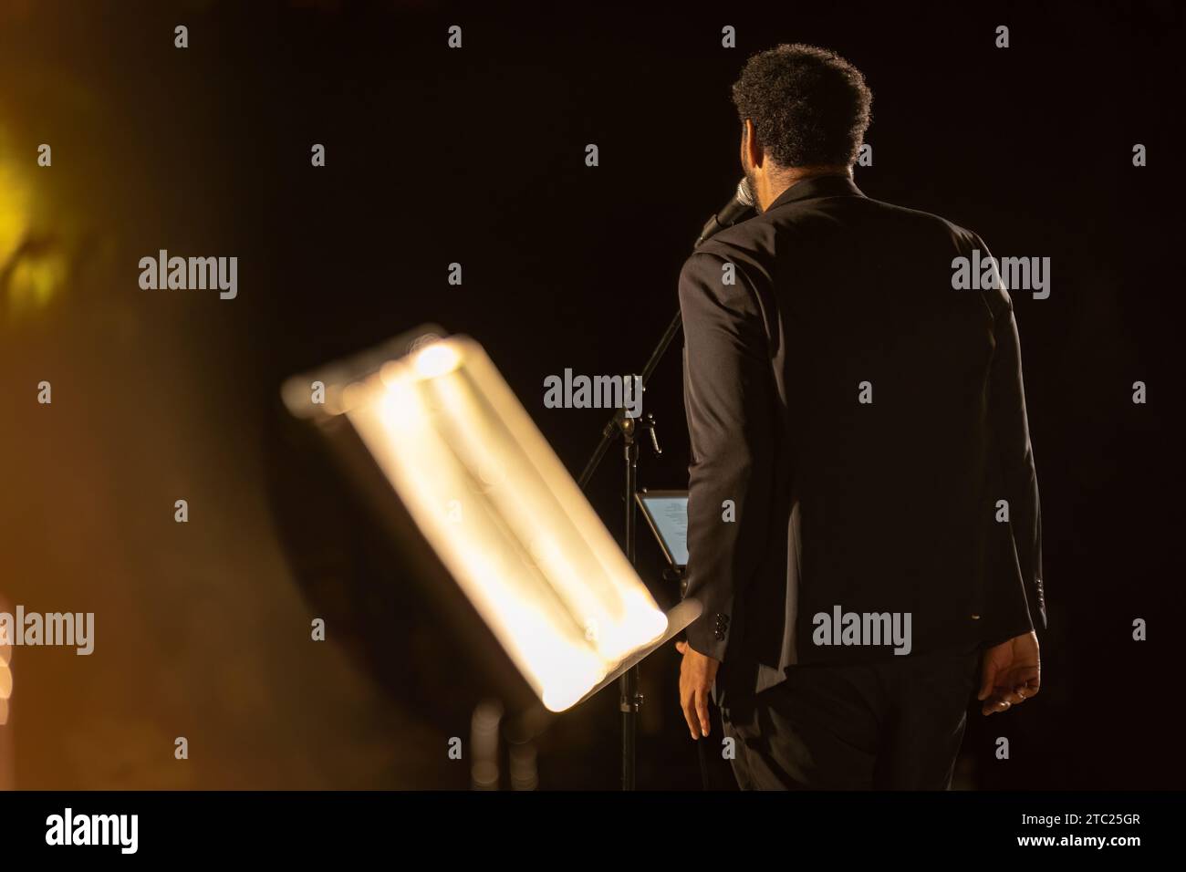 A back view of a Black singer performing live at a night concert ...