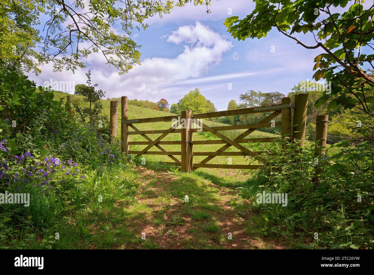 Wooden Gate into a meadow in England Stock Photo - Alamy