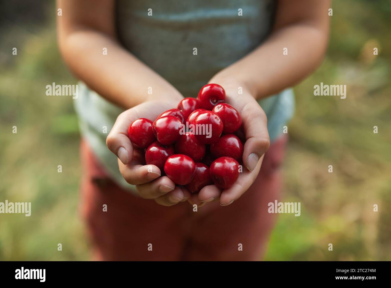 Happy boy holding cherry hi-res stock photography and images - Alamy