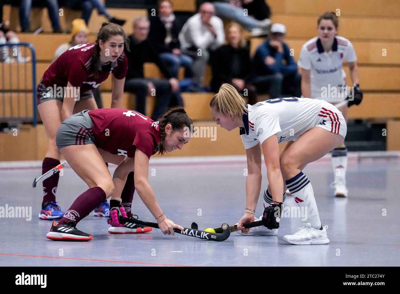 Msc michelle hi-res stock photography and images - Alamy