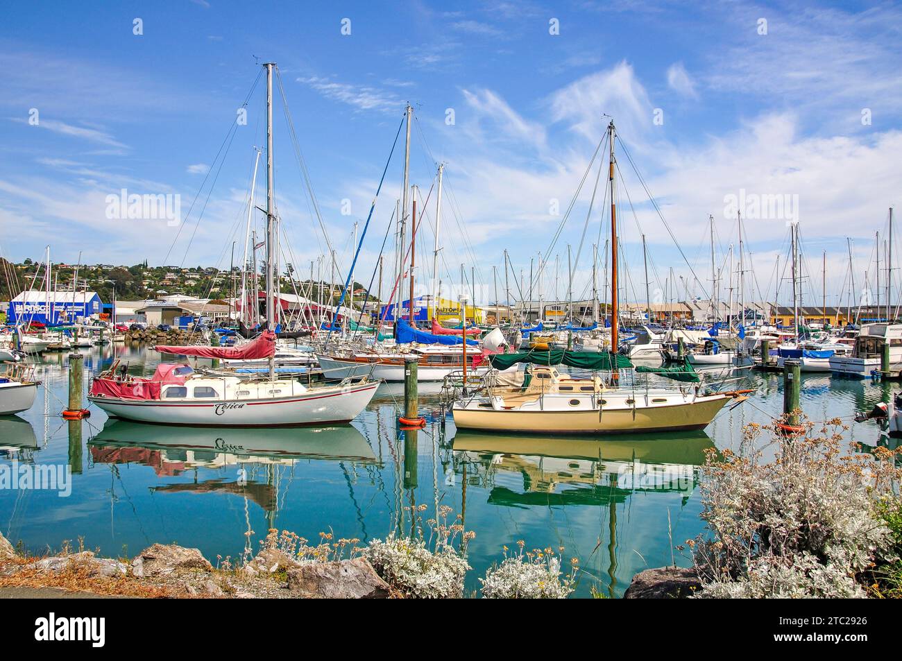 Boats moored at Nelson Marina, Cross Quay, Port Nelson, Nelson, Nelson ...