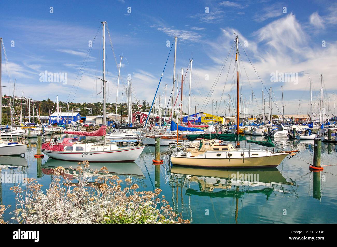 Boats moored at Nelson Marina, Cross Quay, Port Nelson, Nelson, Nelson ...