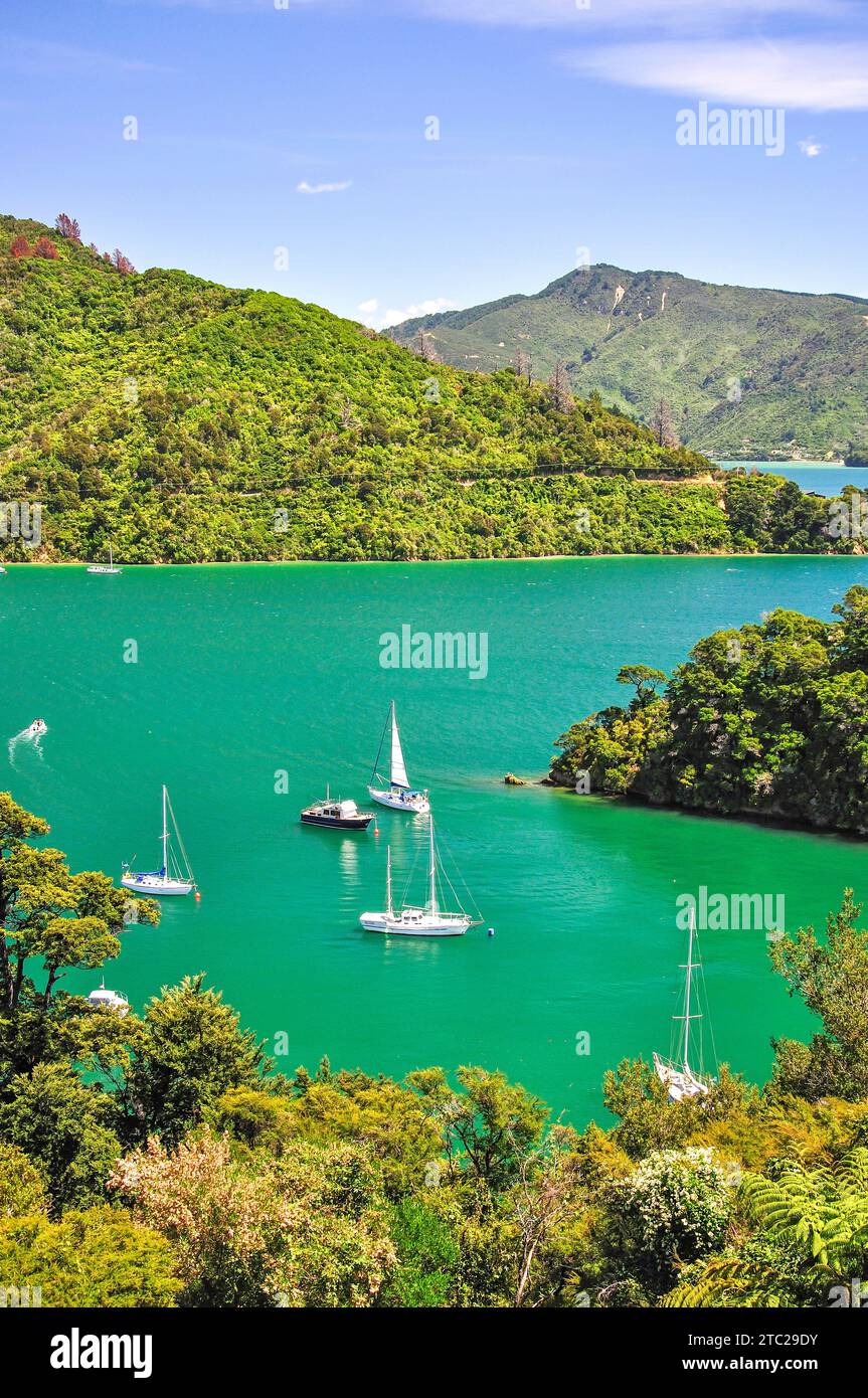 Whenuanui Bay from Queen Charlotte Drive, Queen Charlotte Sound ...