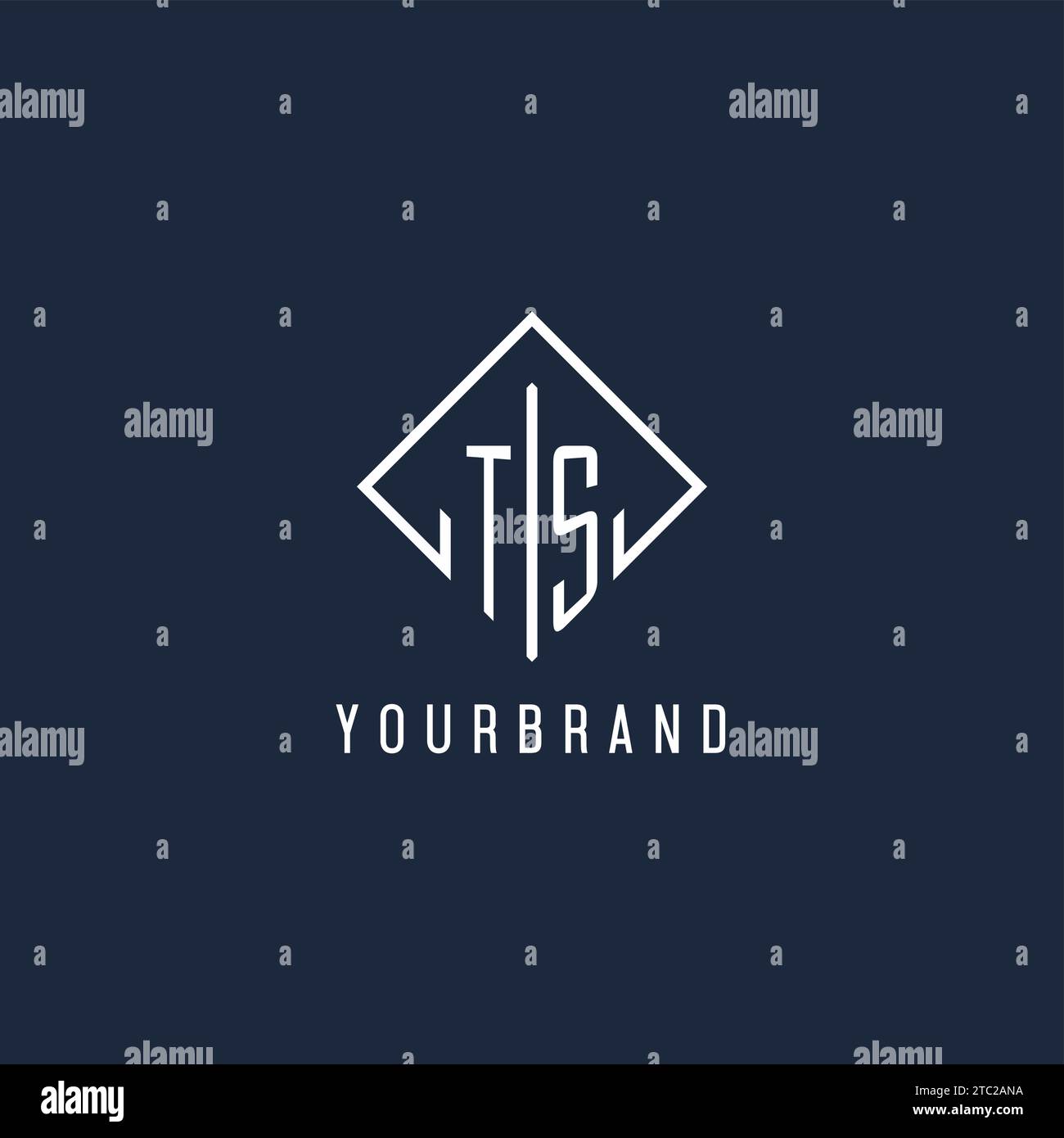 TS initial logo with luxury rectangle style design vector graphic Stock ...