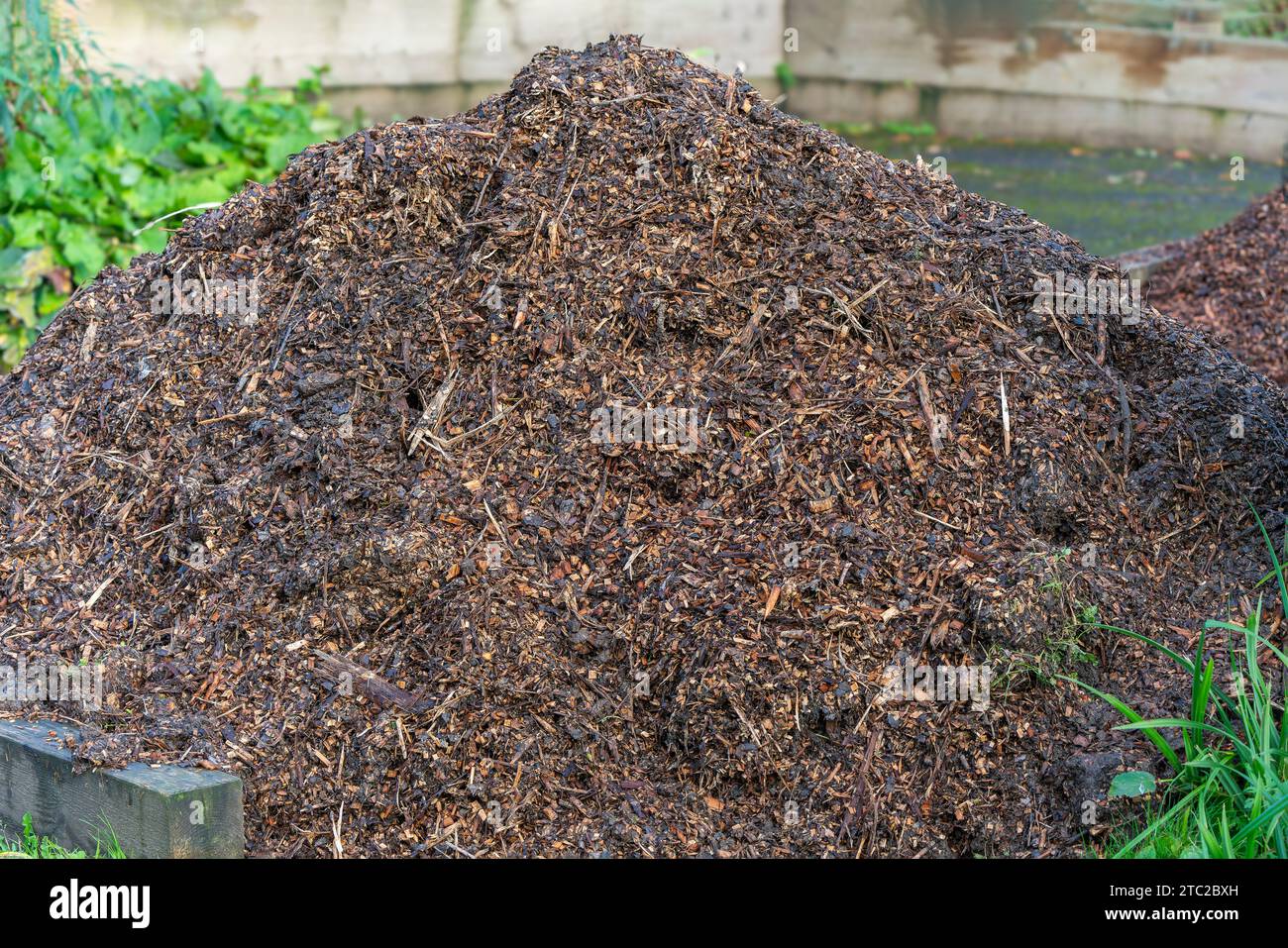 Rotting heap of organic vegetation garden waste to be recycled in the ...