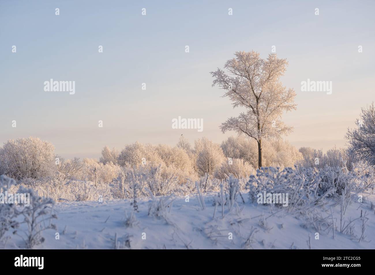 Sunrise over snow covered field landscape hi-res stock photography and ...