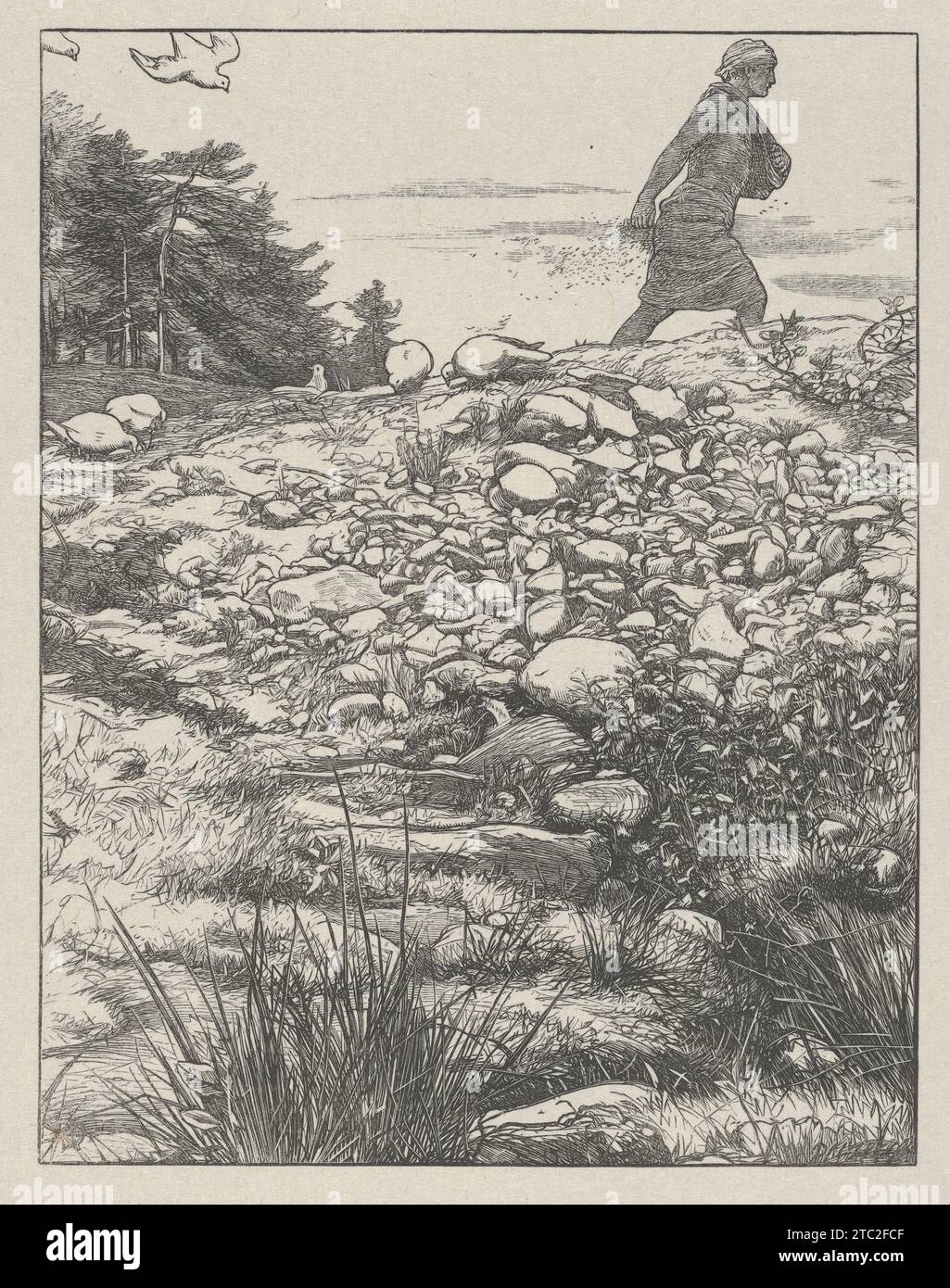 The Sower (The Parables of Our Lord and Saviour Jesus Christ) 1921 by ...