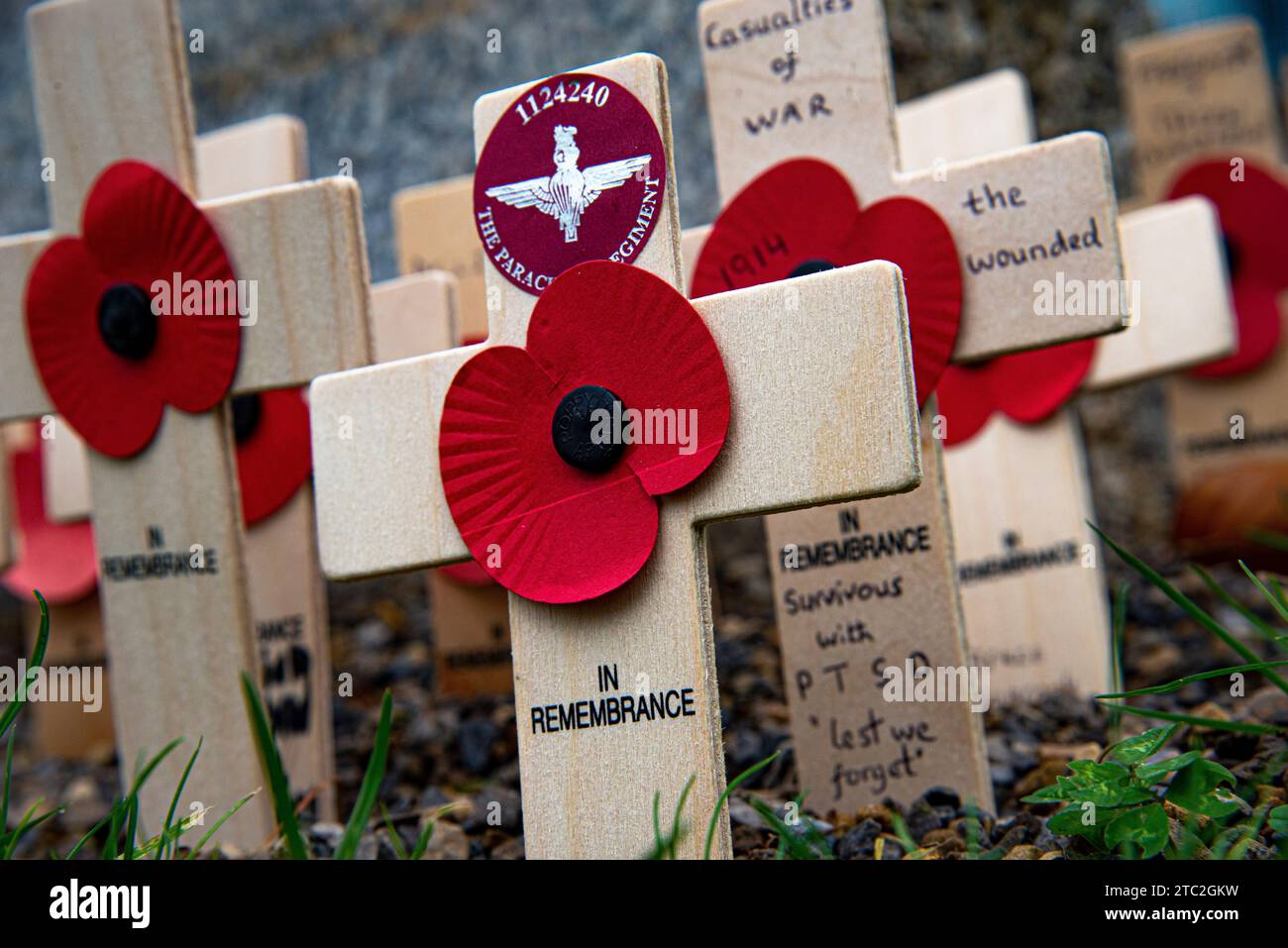 Falmouth remembers the Fallen on remembrance day 2023 with a parade of ...