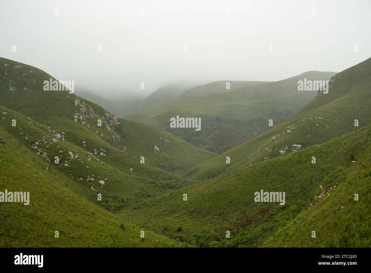 Travelling through the Outeniqua mountain pass with views of fog ...