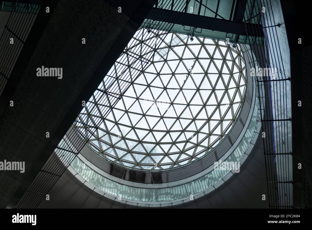 Detail of skylight structure roof, with tree branches above Stock Photo ...