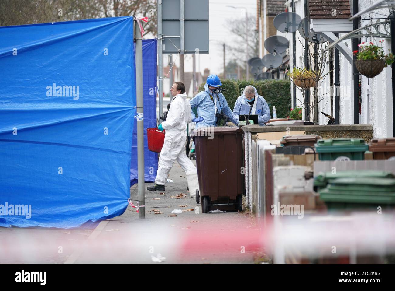 Deveca rose hi-res stock photography and images - Alamy