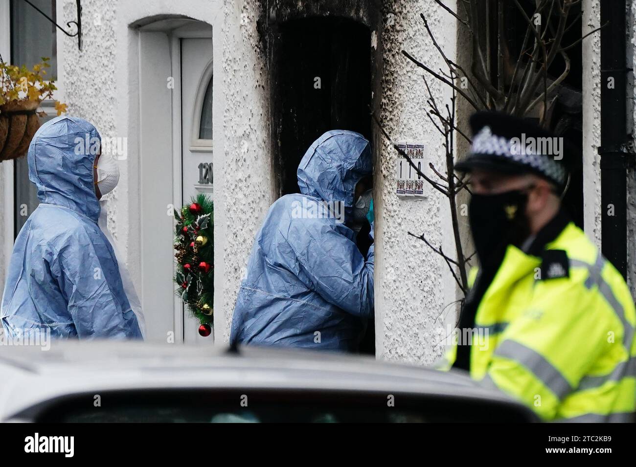 Deveca rose hi-res stock photography and images - Alamy