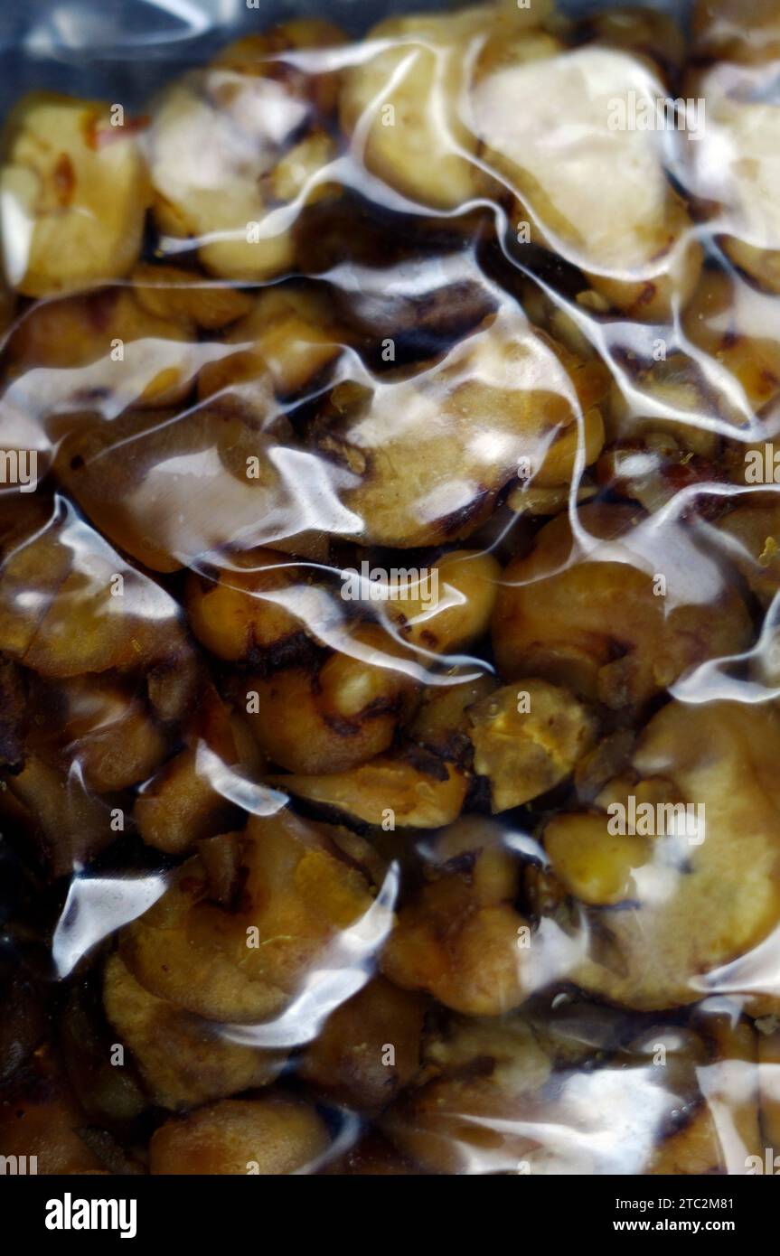 Magic truffles 15 gm [Sclerotia of Psilocybin Mushrooms] - MAGIC ...