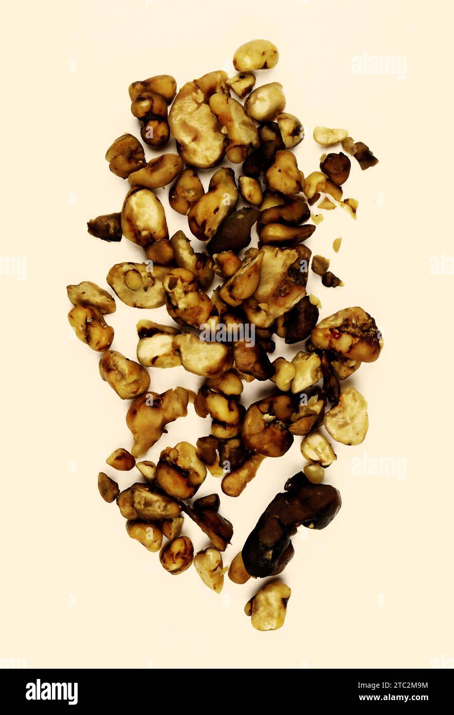 Magic truffles 15 gm [Sclerotia of Psilocybin Mushrooms] - MAGIC ...