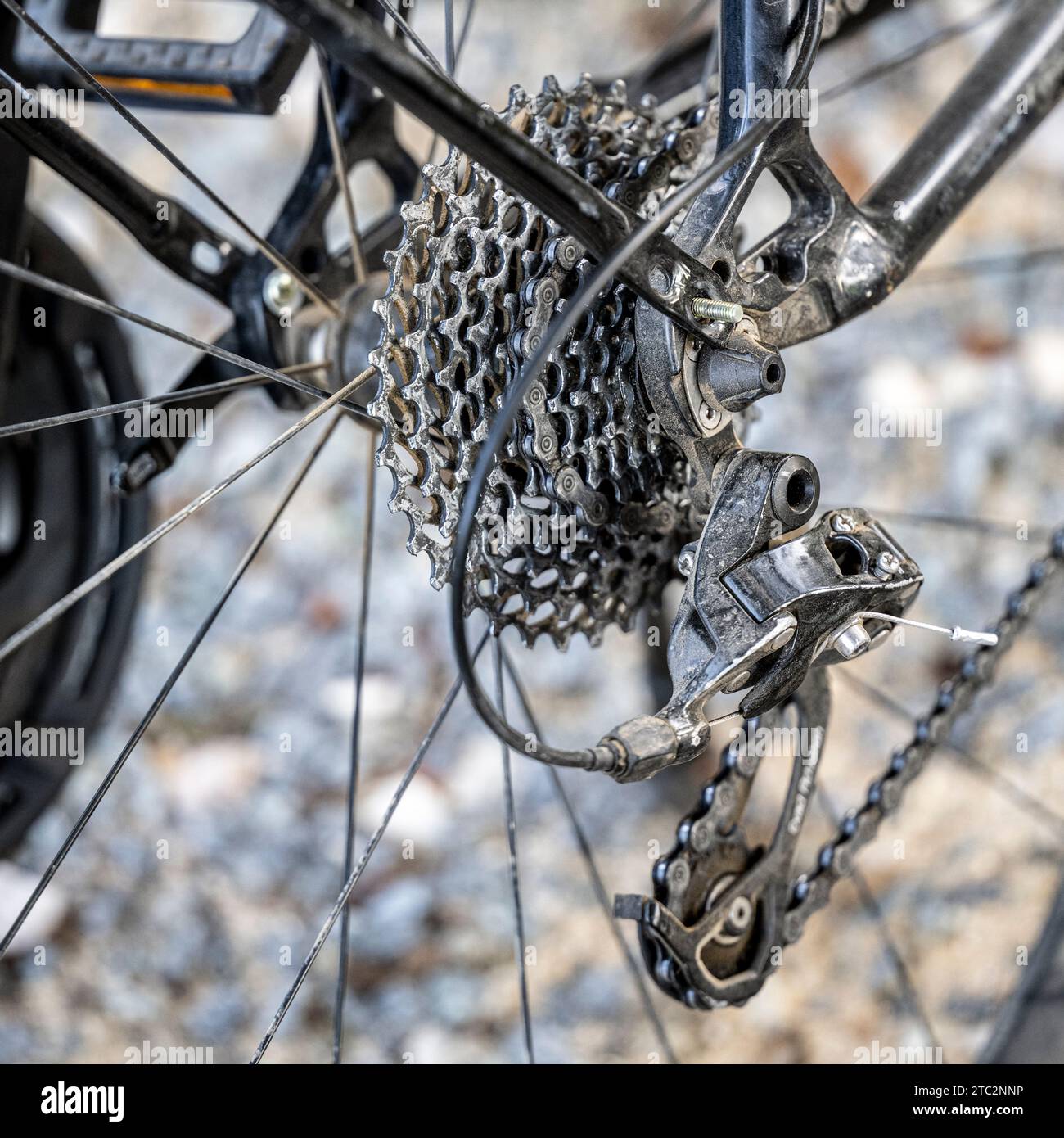 Rear bicycle cog wheels gears, chain and wheel Stock Photo - Alamy