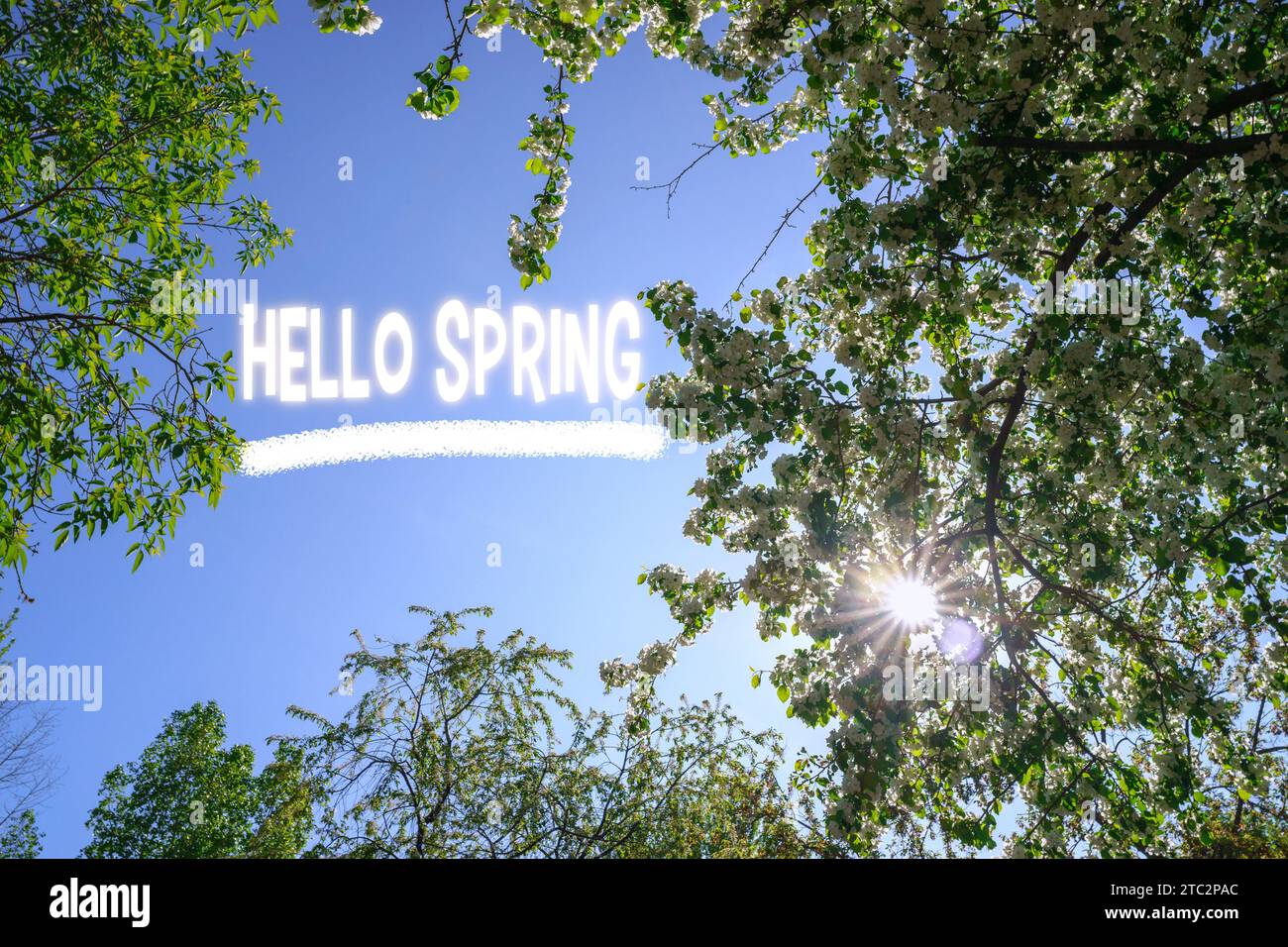 Hello, spring, the sunlight breaking through the crowns of the trees ...