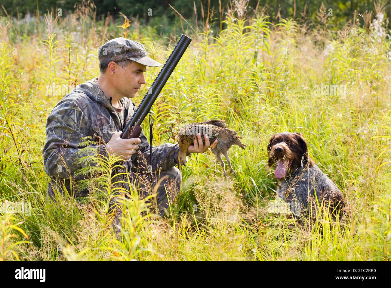 the hunter holds in his hand a downed grouse which was brought by his ...