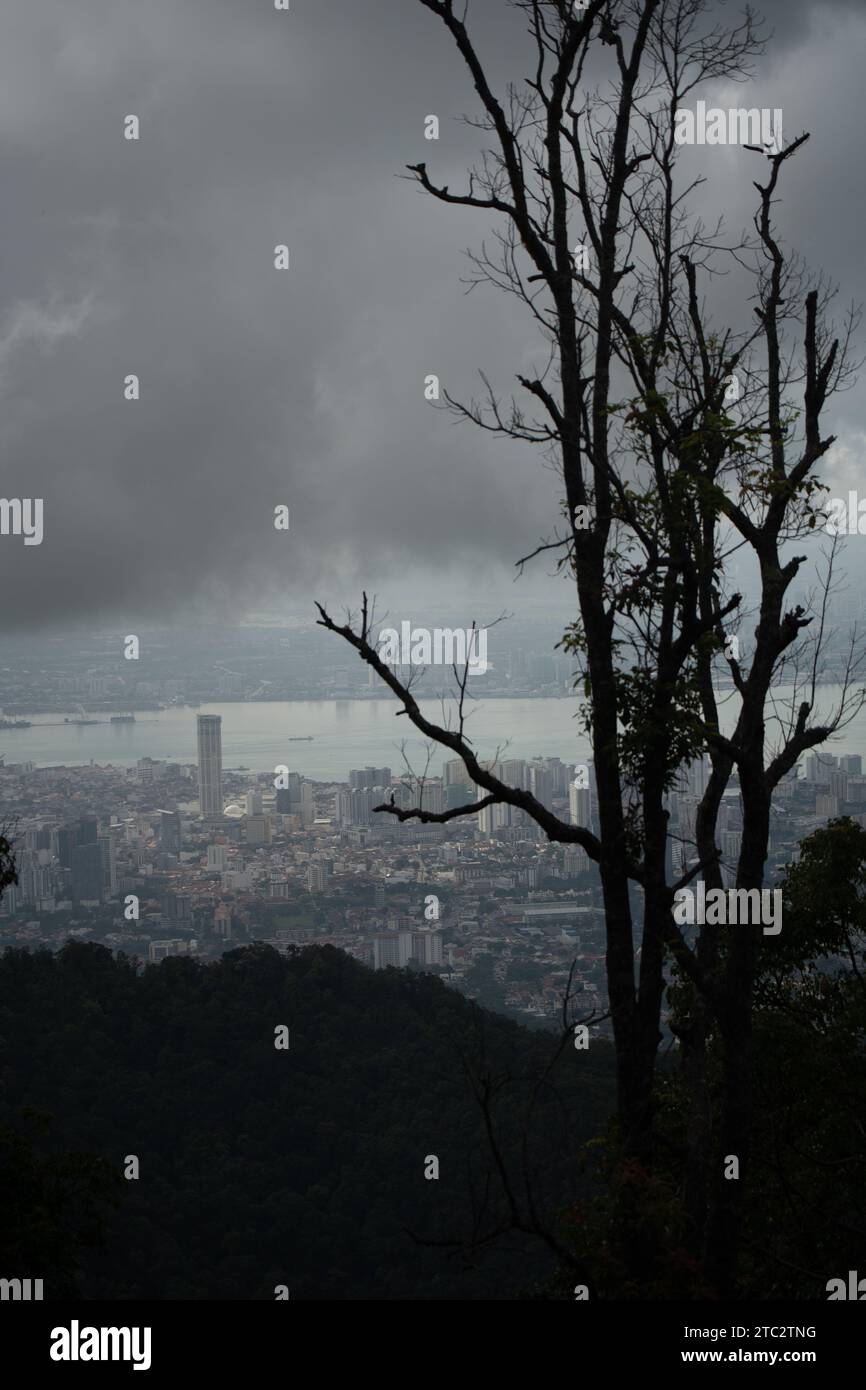 Penang Hills: Nature's masterpiece in Malaysia, where lush greenery ...