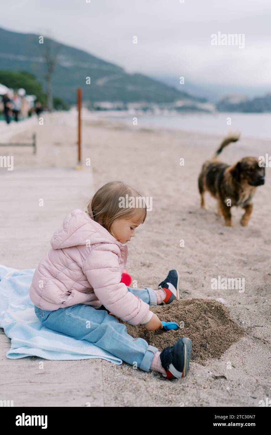 Girl digging hole in sand hi-res stock photography and images - Alamy