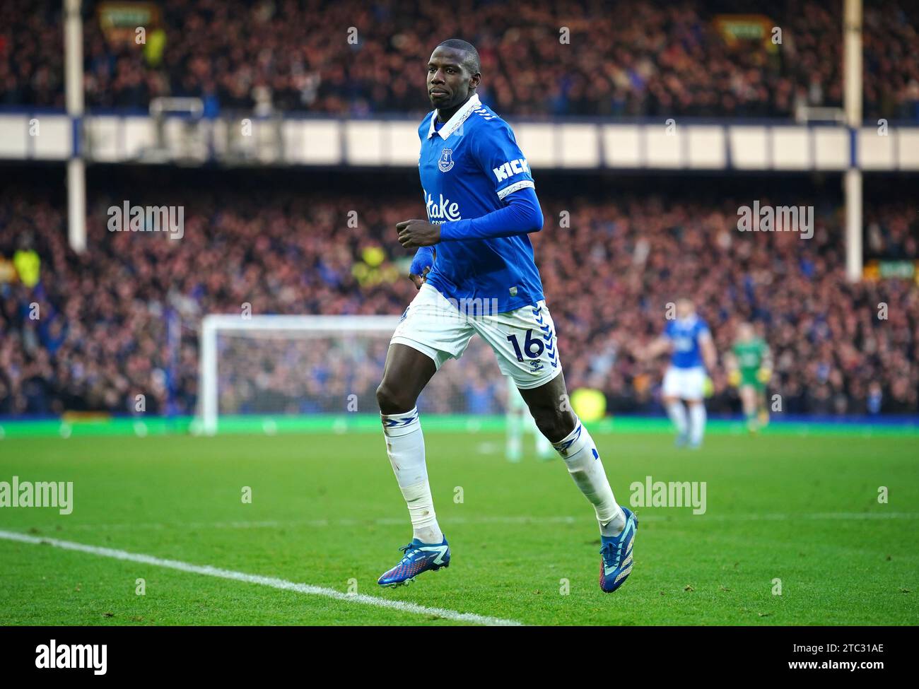 Everton's Abdoulaye Doucoure celebrates scoring their side's first goal ...