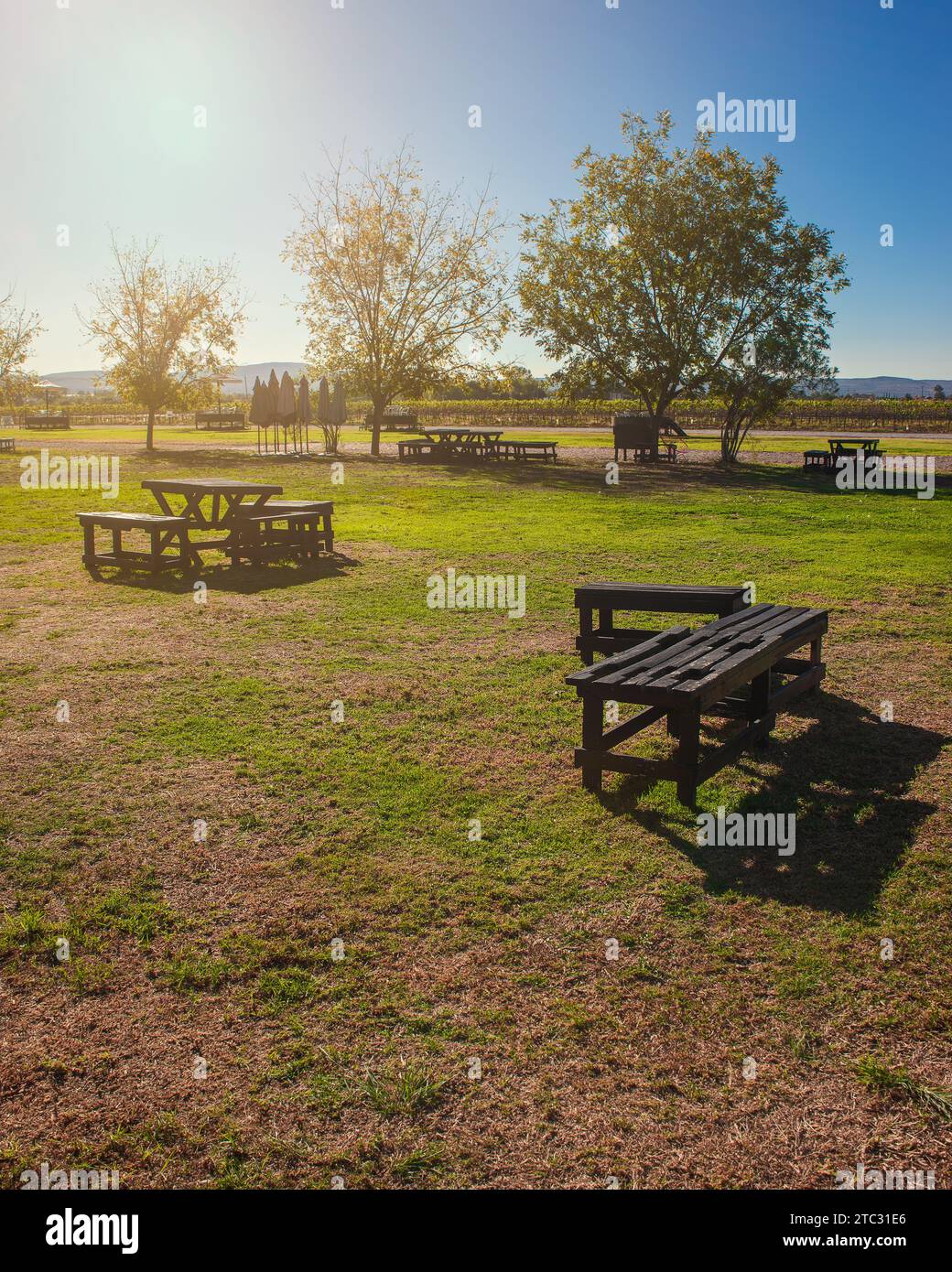 Beautiful sunset in the forest, camping place without people with ...