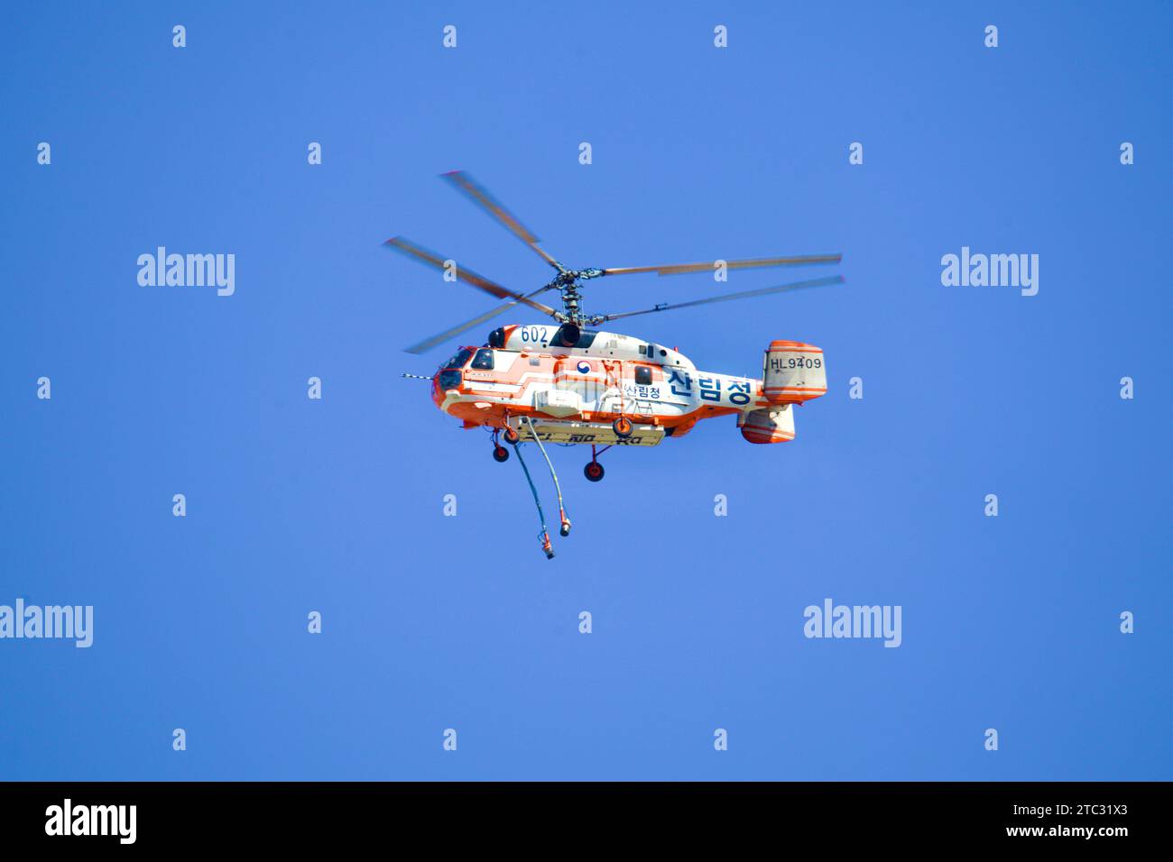 Captured against a clear blue sky, a firefighting helicopter flies with ...
