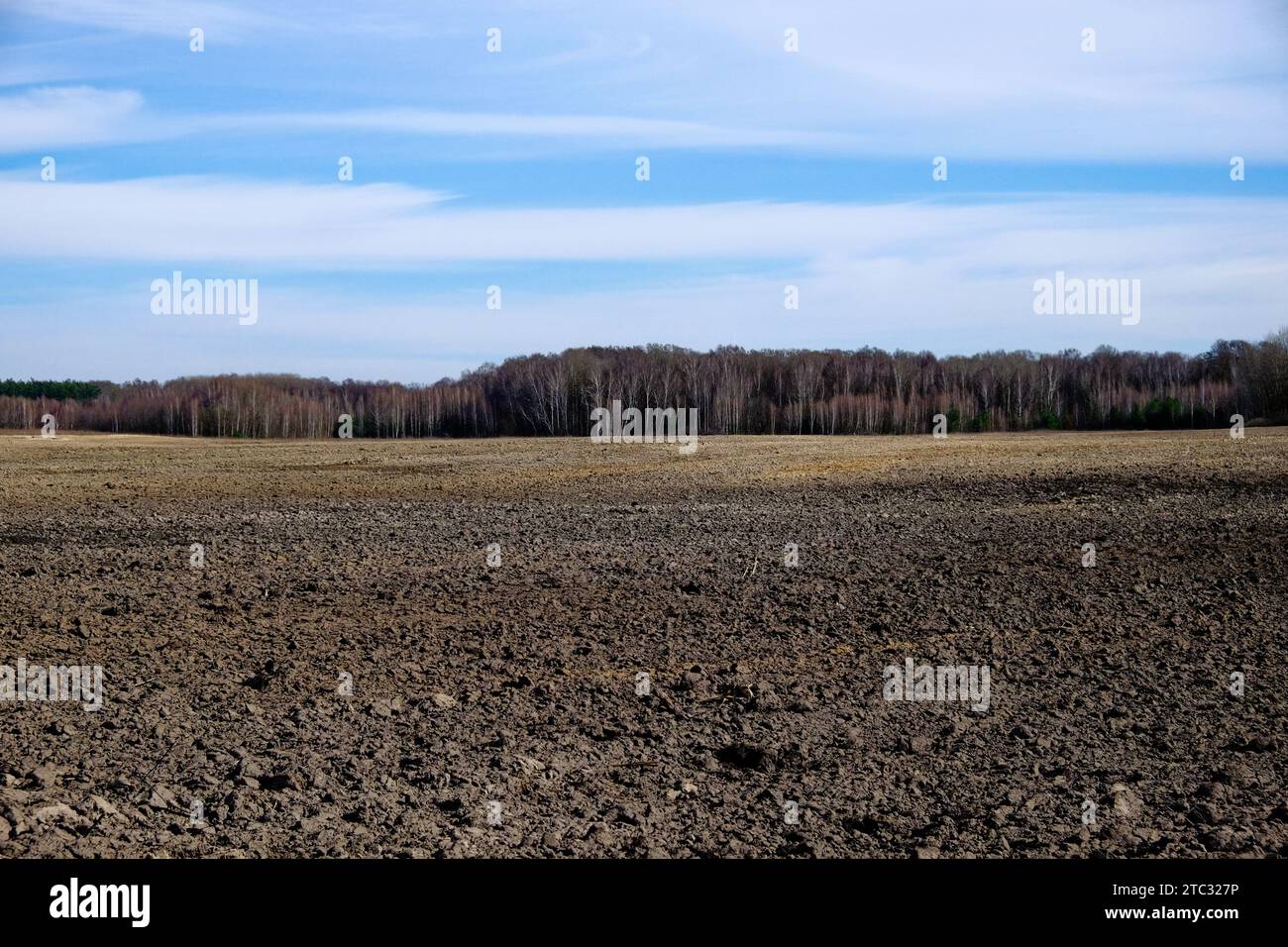 A landscape photo of a field and a forest Stock Photo - Alamy