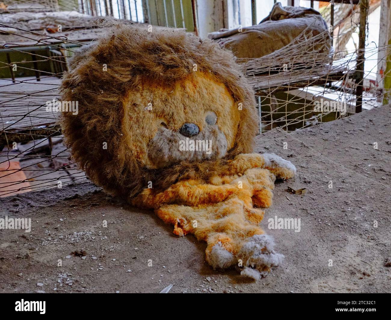 A dilapidated stuffed lion toy. An old torn plush toy in an abandoned ...