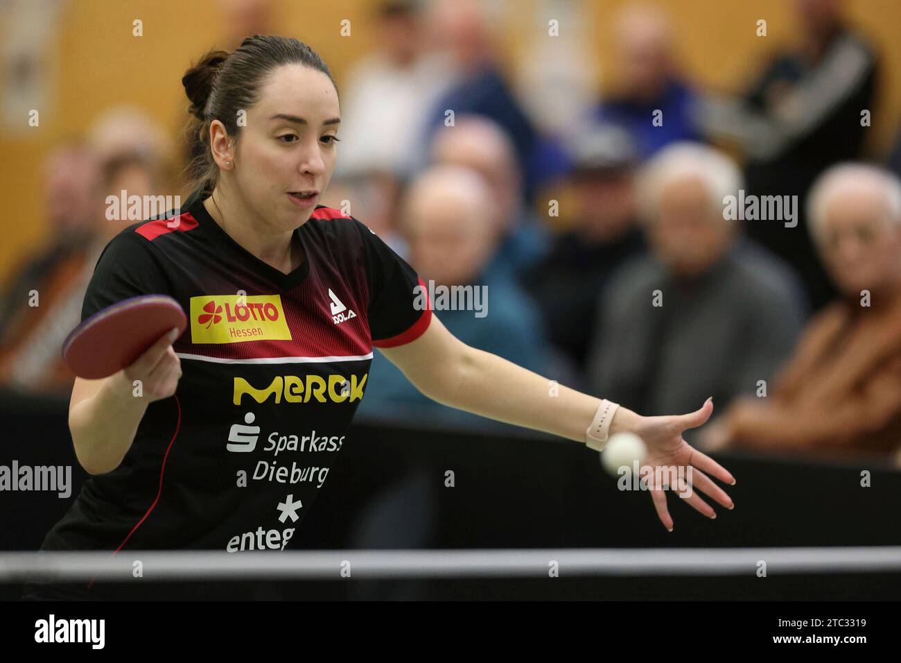 Langstadt, Deutschland. 10th Dec, 2023. Langstadt, Babenhausen 09.12. ...