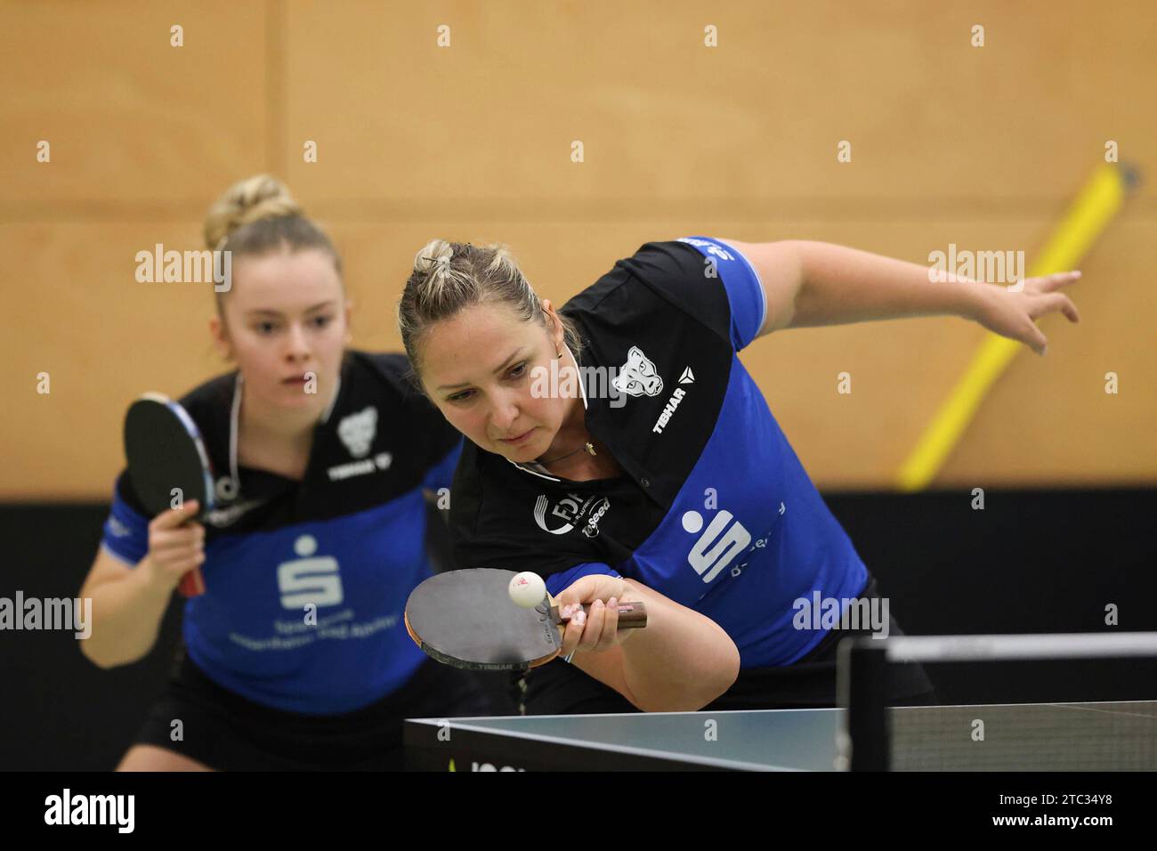 Langstadt, Deutschland. 10th Dec, 2023. Langstadt, Babenhausen 09.12. ...