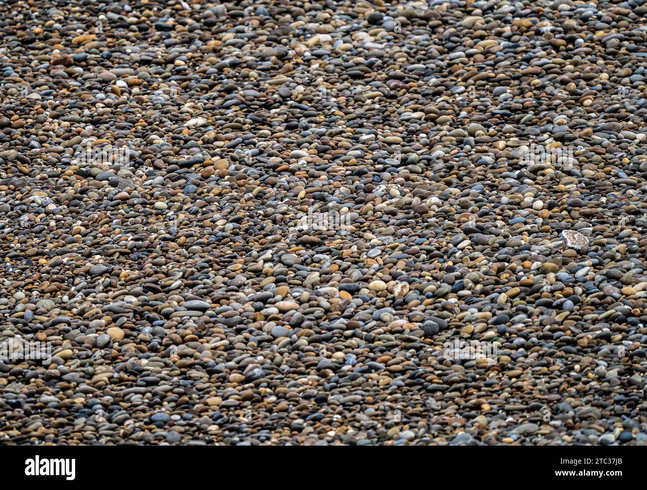 Intriguing pattern of rocks, each unique, forming a captivating visual ...